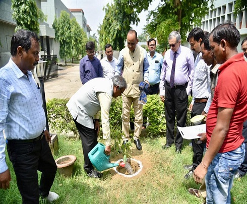 Welcome to Central Institute of Medicinal and Aromatic Plants (CSIR ...